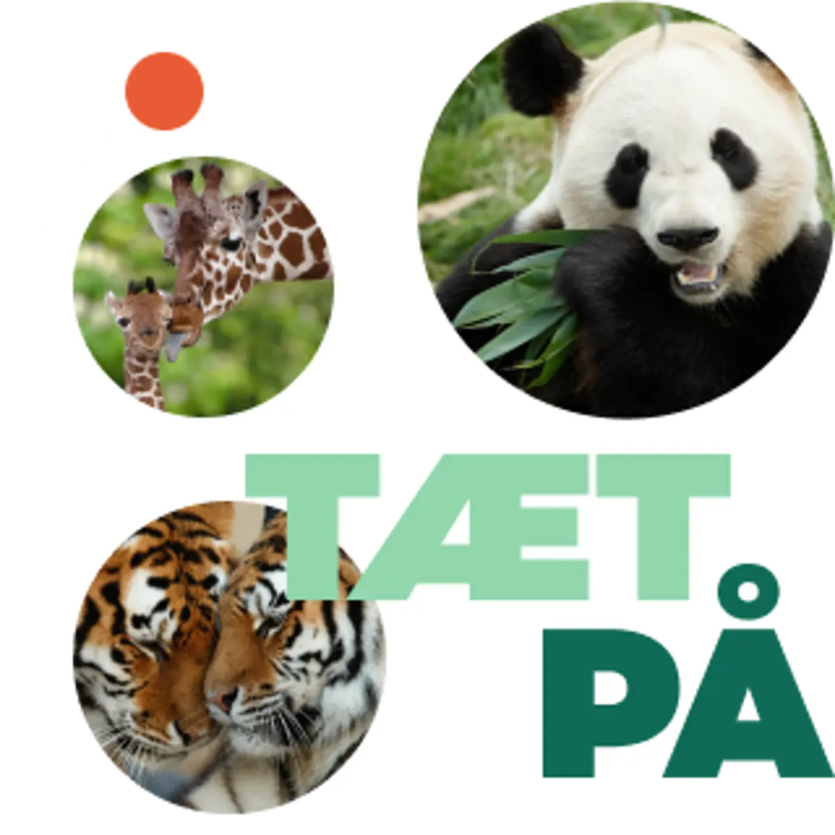 Zoologisk Have København